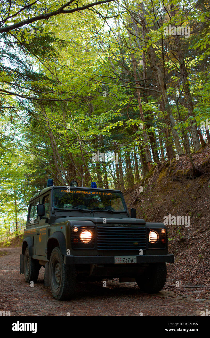 Car body forestry hi-res stock photography and images - Alamy