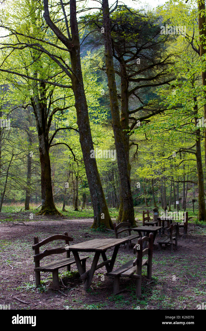 Europe, Italy,Tuscan Emilian Apennines. the nature reserve in Italy ...