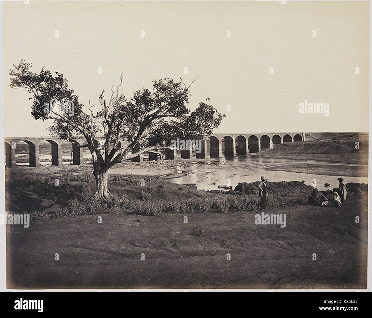 Tree and Bridge Stock Photo - Alamy