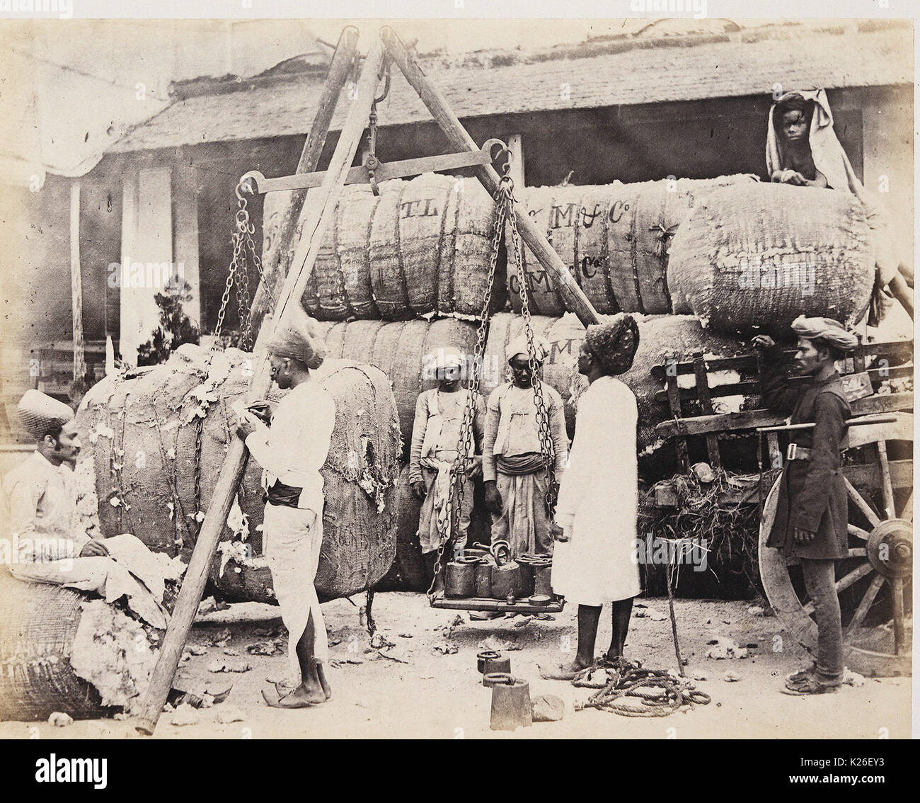 Weighing cotton hi-res stock photography and images - Alamy
