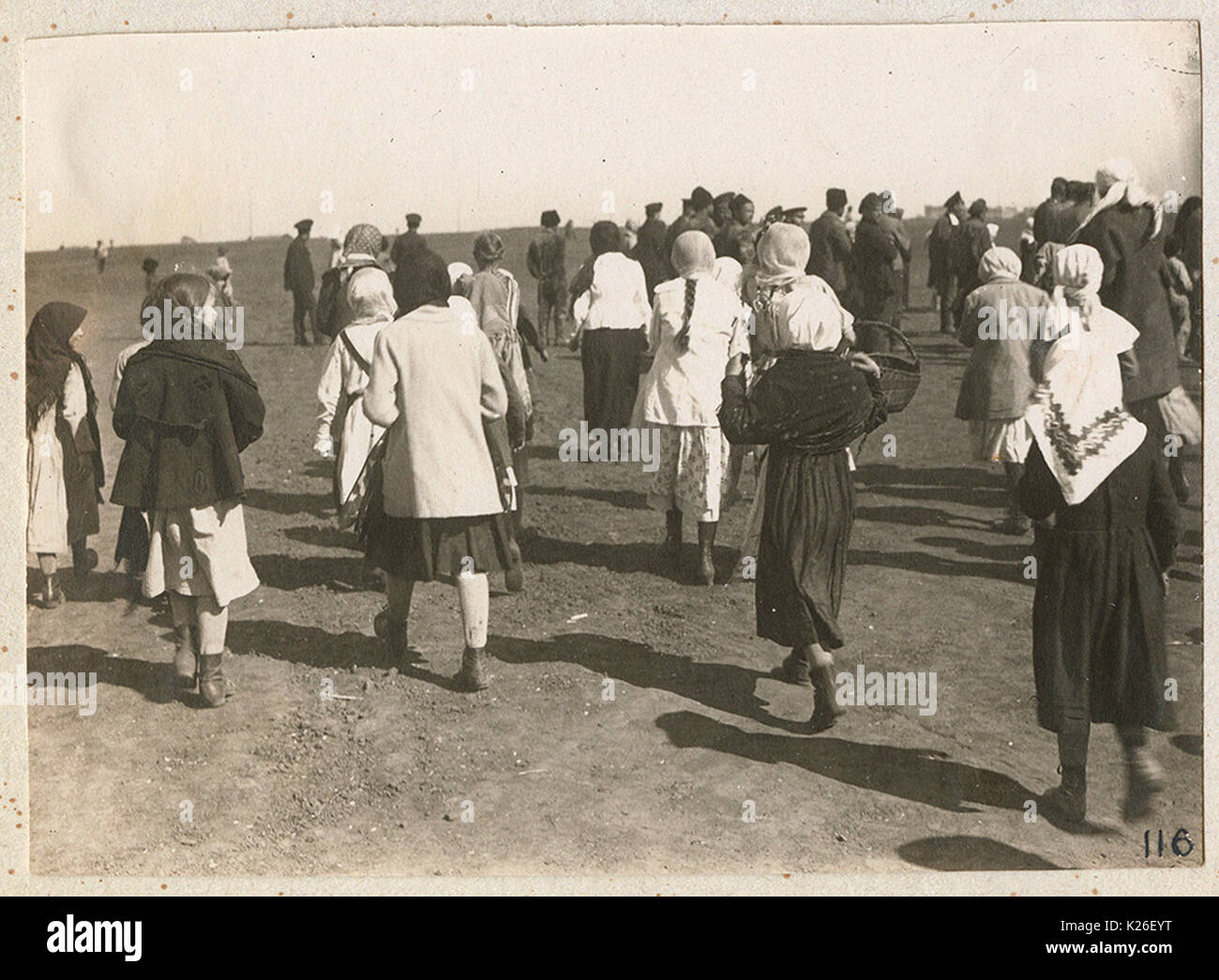World war one field photography hi-res stock photography and images - Alamy