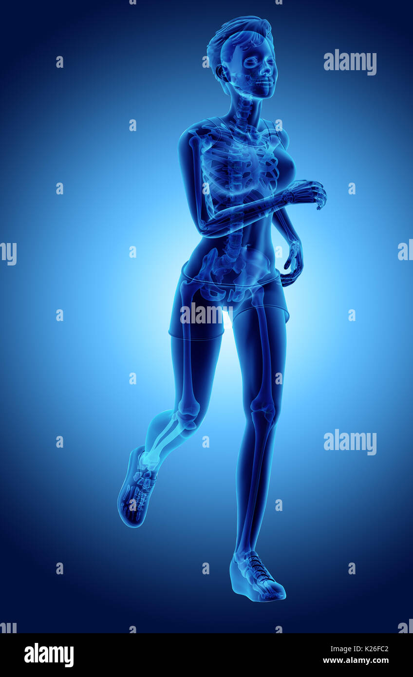 Medical skeleton running knee joints hi-res stock photography and ...