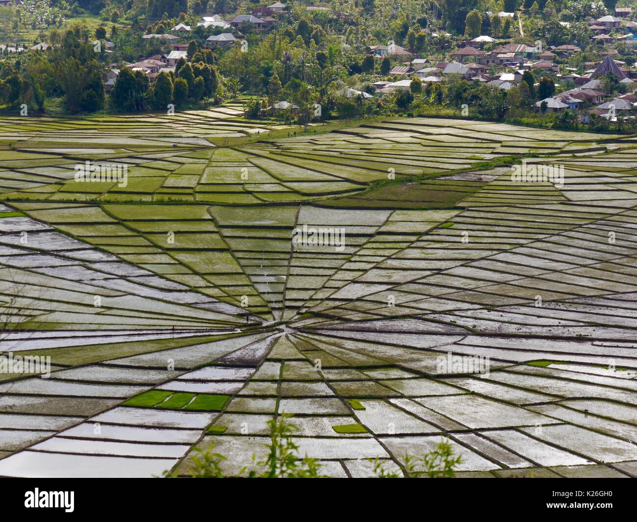 East nusa tengarra province hi-res stock photography and images - Alamy