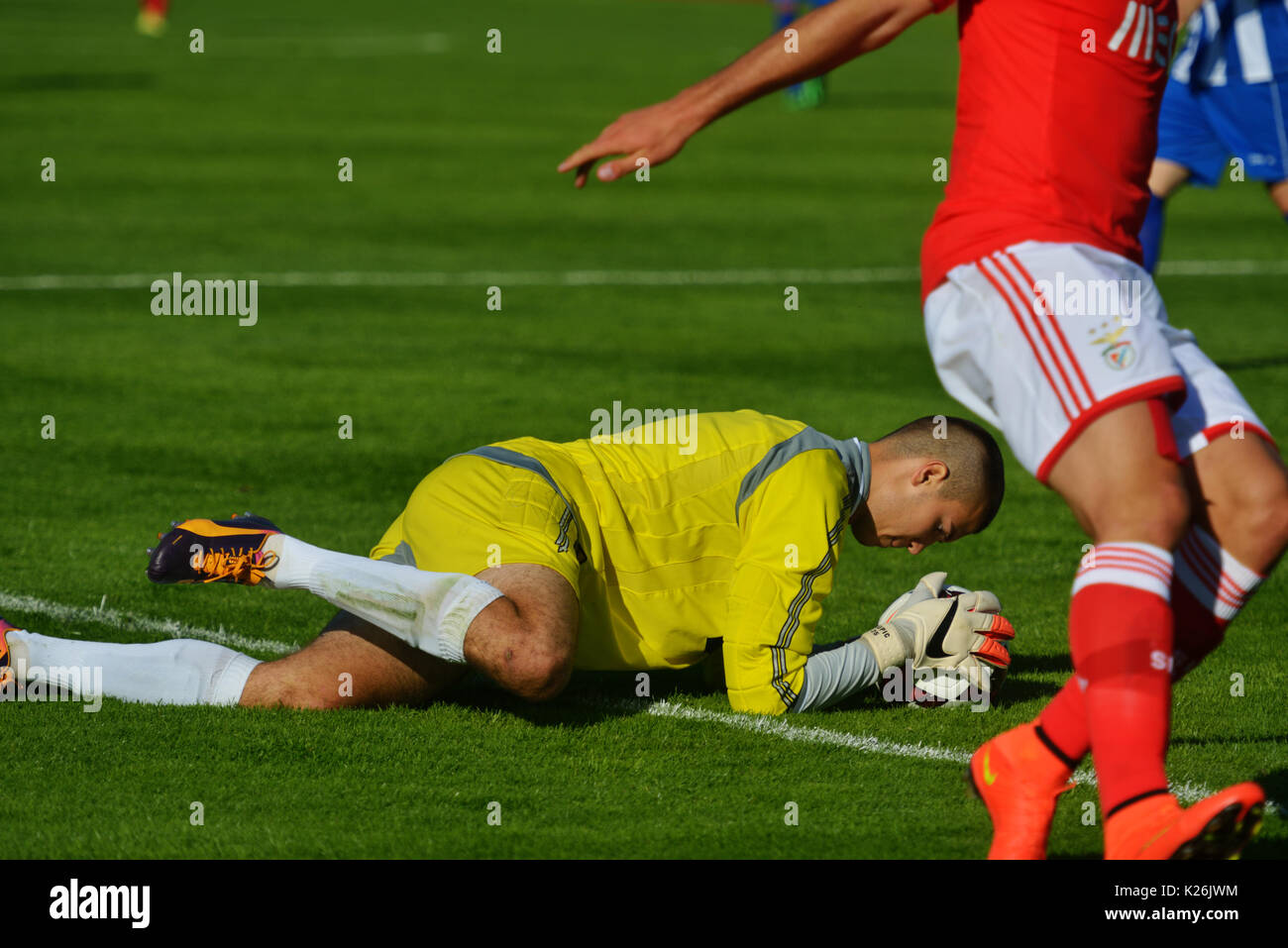 Stefan cupic hi-res stock photography and images - Alamy