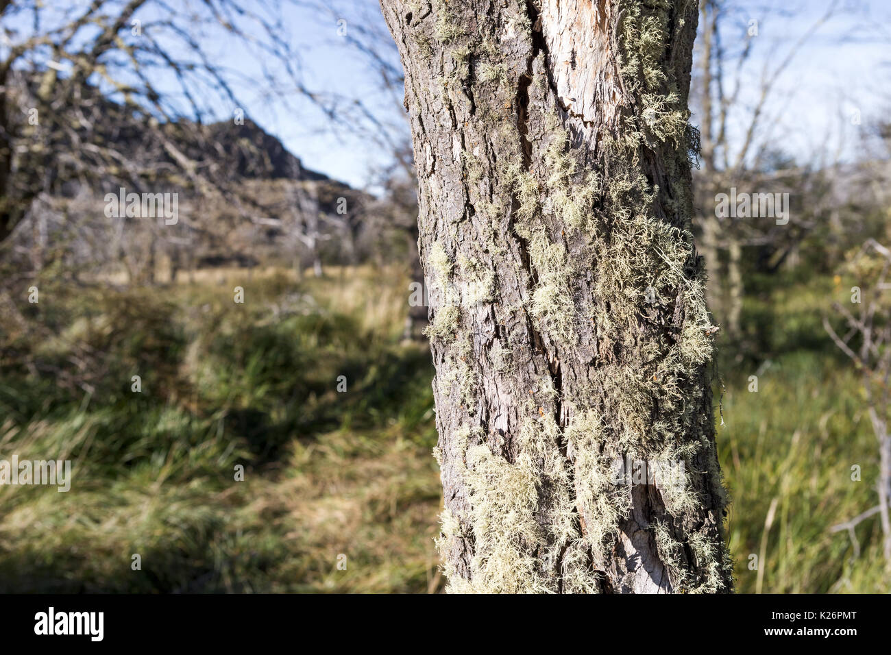 Chacubuco valley hi-res stock photography and images - Alamy