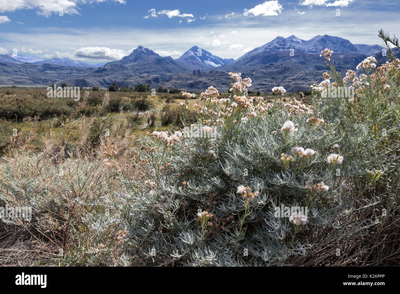 Chacabuco valley hi-res stock photography and images - Alamy