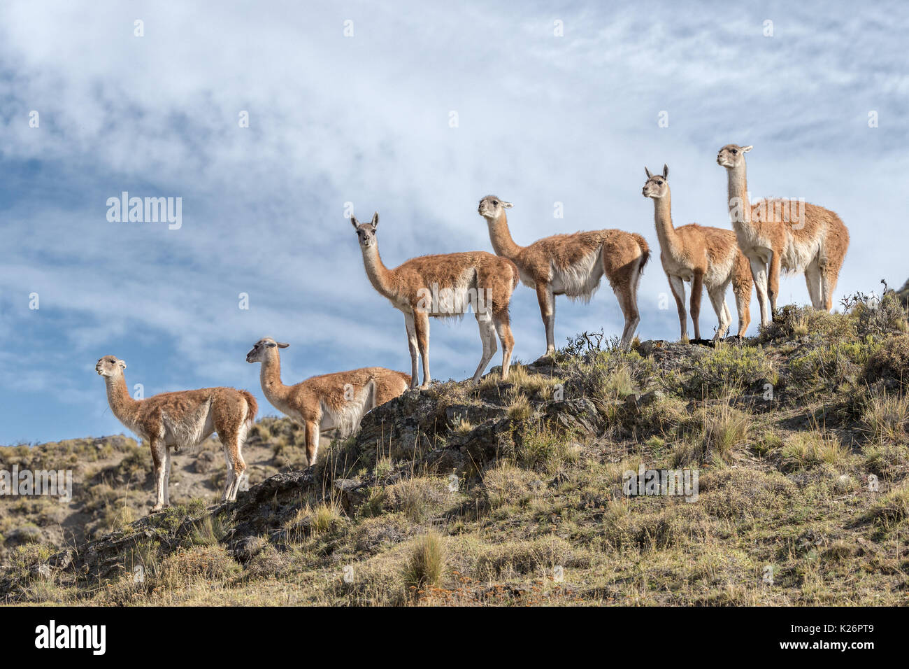 Chacabuco patagonia hi-res stock photography and images - Alamy