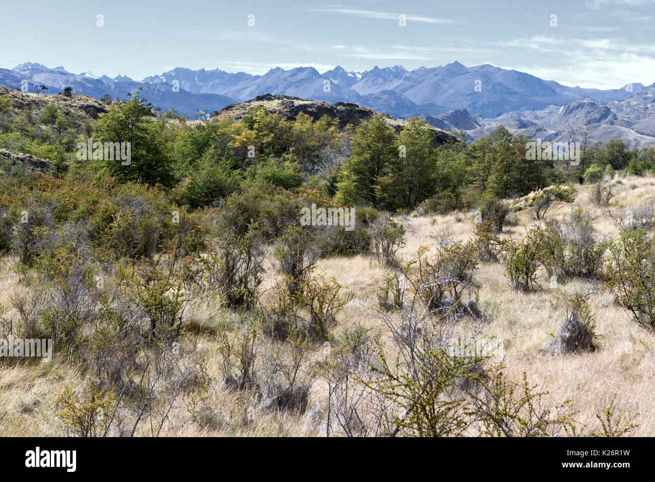 Valle Chacabuco Patagonia Park Chile Stock Photo - Alamy