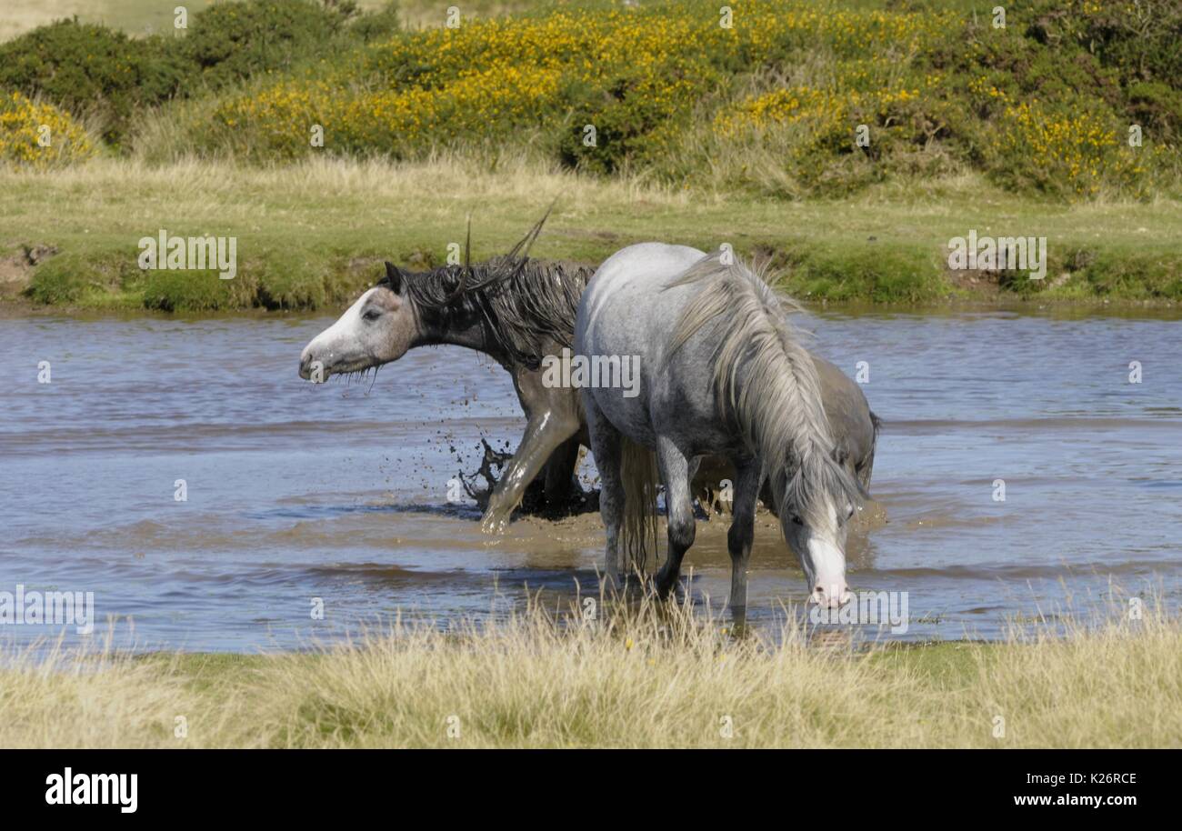 Kington herefordshire walkers hi-res stock photography and images - Alamy
