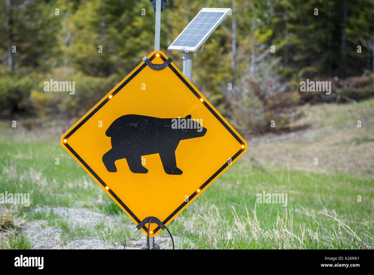 Bear Crossing Sign Stock Photo - Alamy