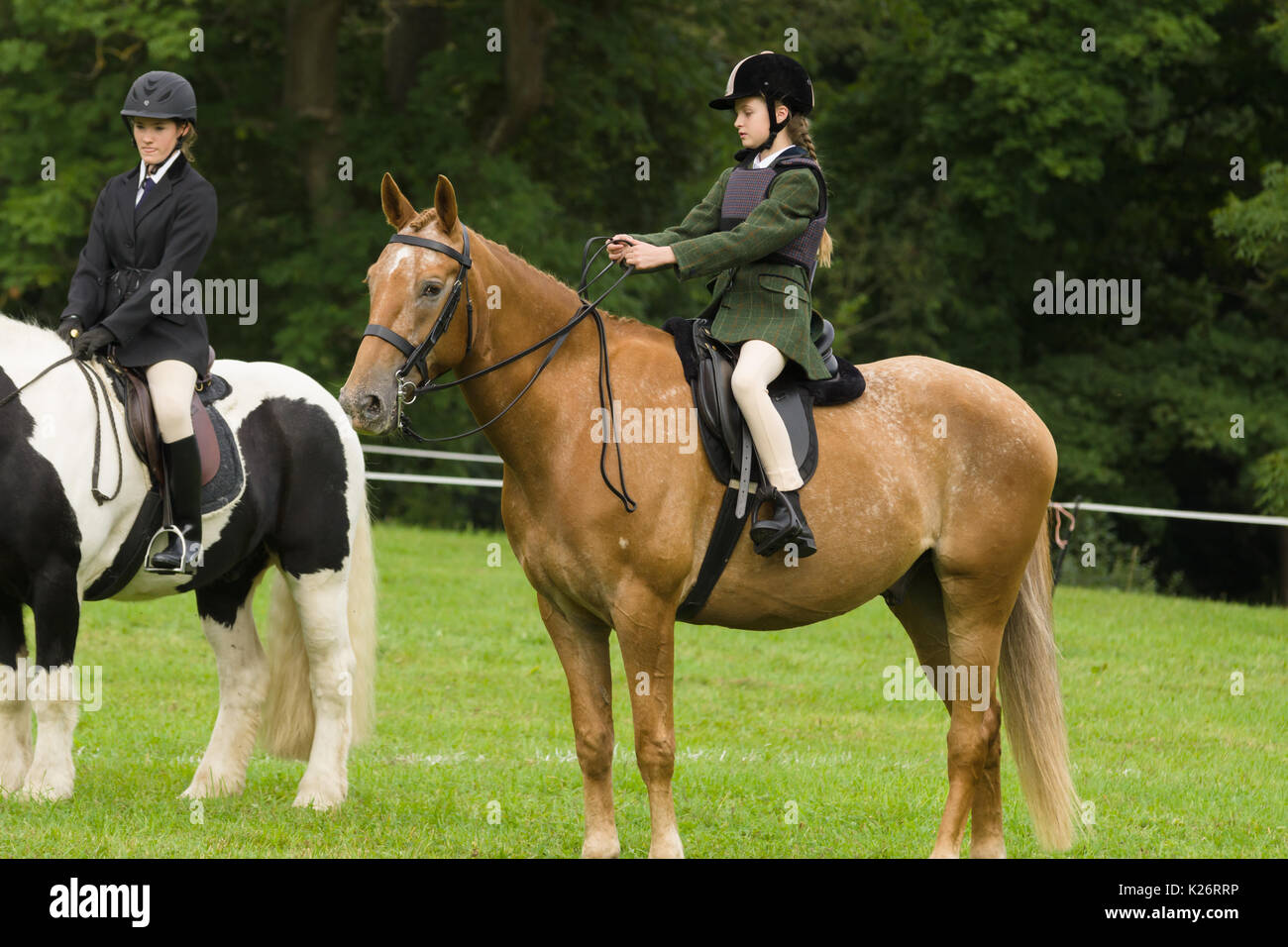 Horses and riders competing at the annual Ceiriog Valley Sheep Dog ...