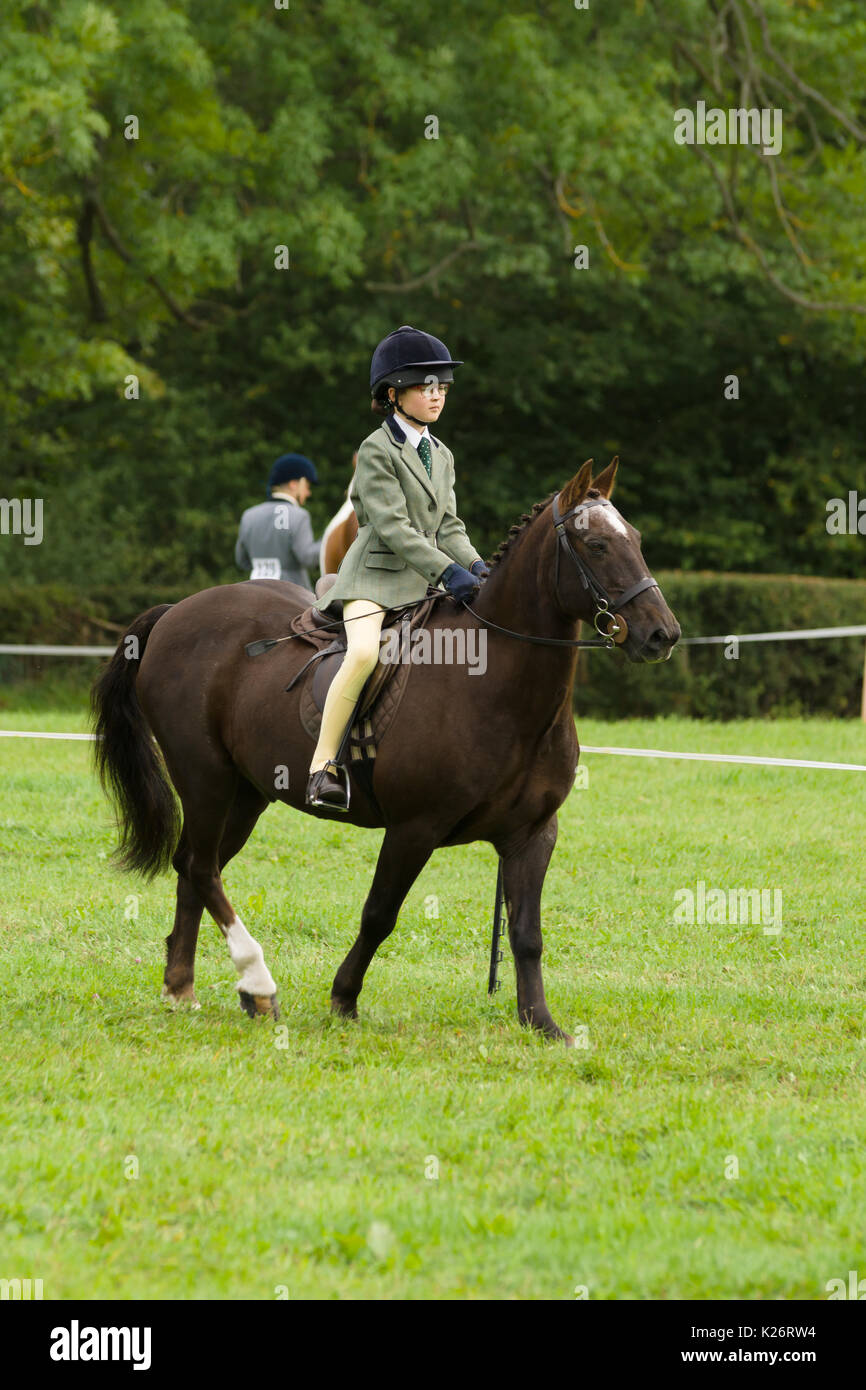 Horses and riders competing at the annual Ceiriog Valley Sheep Dog ...