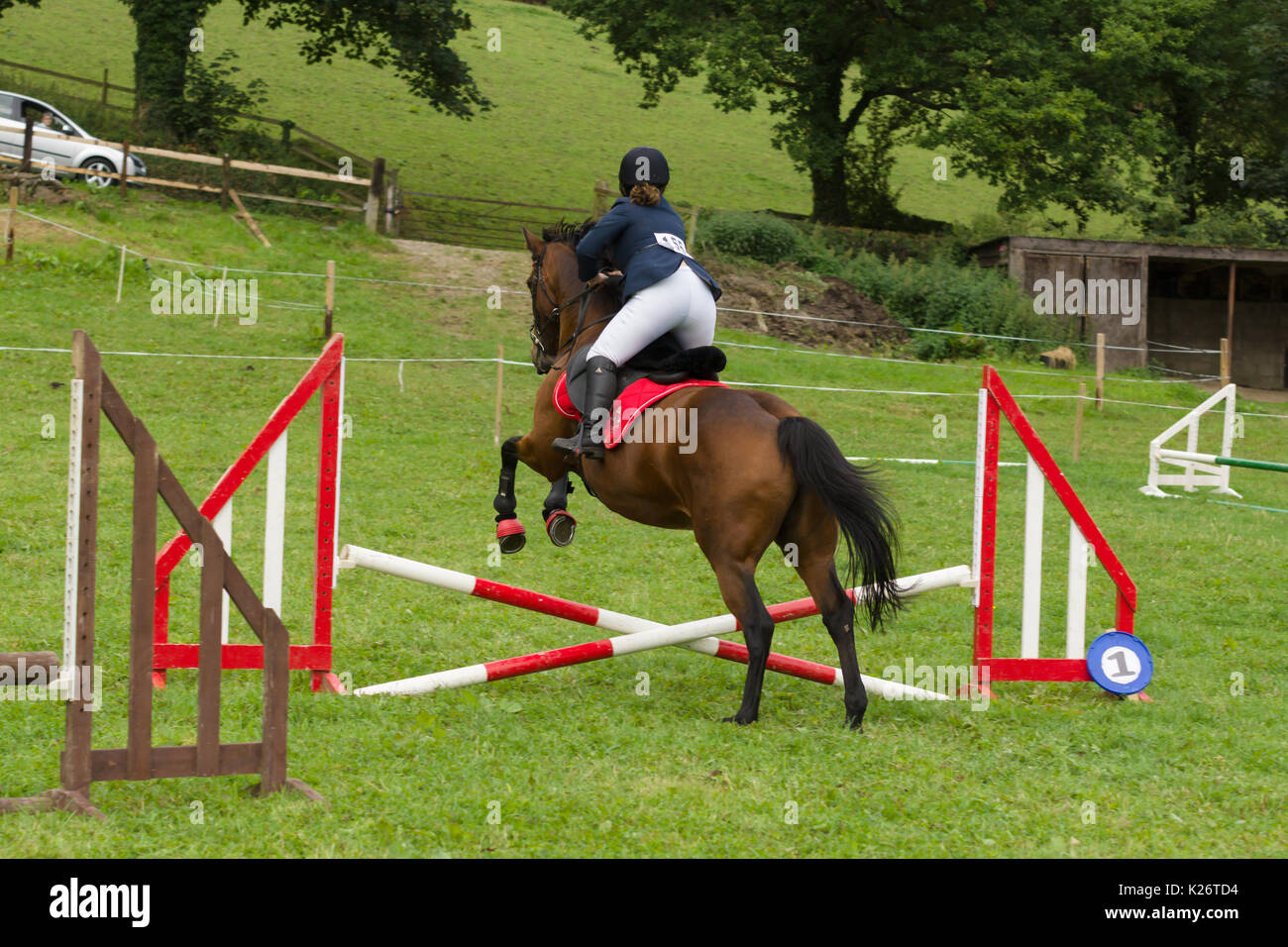 Horses and riders competing at the annual Ceiriog Valley Sheep Dog ...