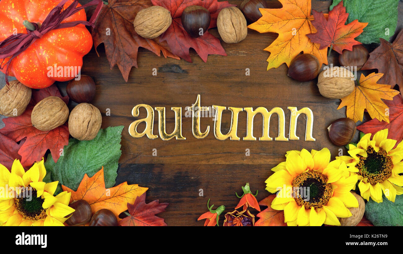 Autumn Fall overhead with seasonal fruit and nuts on a rustic wood ...