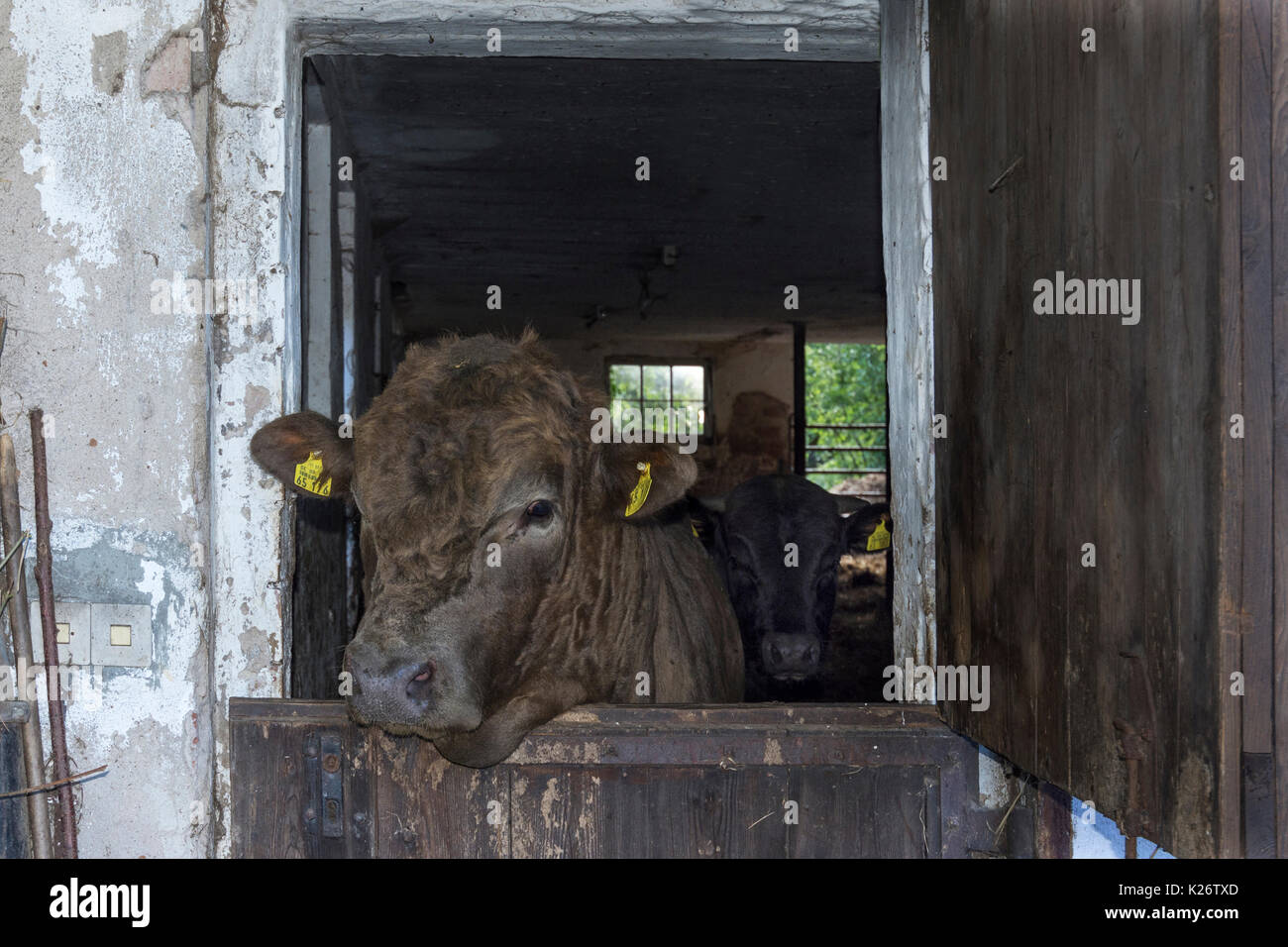 Old stable door hi-res stock photography and images - Alamy