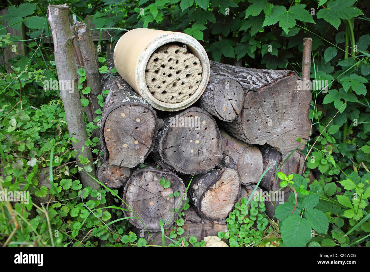 Wooden pile with drillings as a nesting aid for solitary wild bees ...