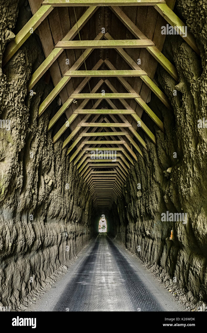 Tunnel, Forgotten World Highway, Taranaki Region, North Island, New ...