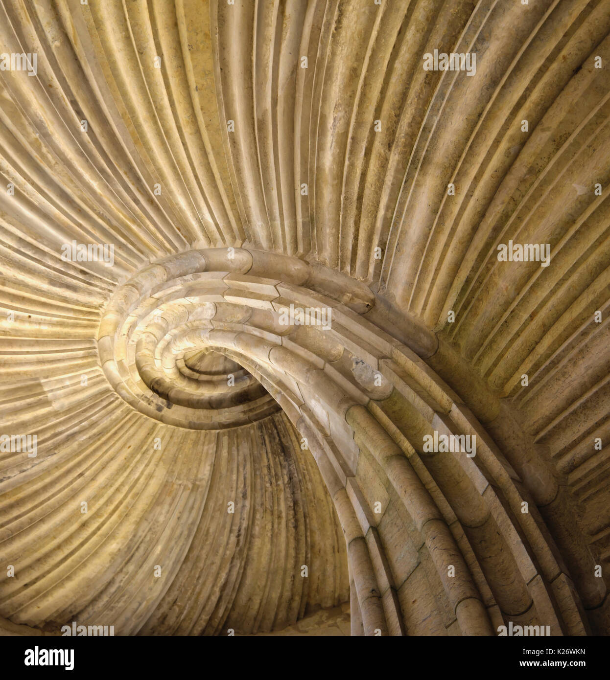 Hartenfels castle staircase hi-res stock photography and images - Alamy