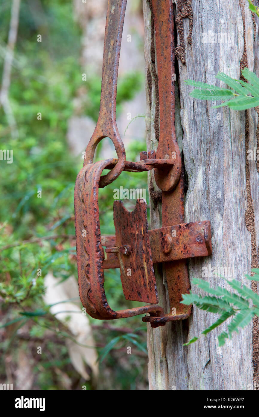 Rabbit trap hi-res stock photography and images - Alamy