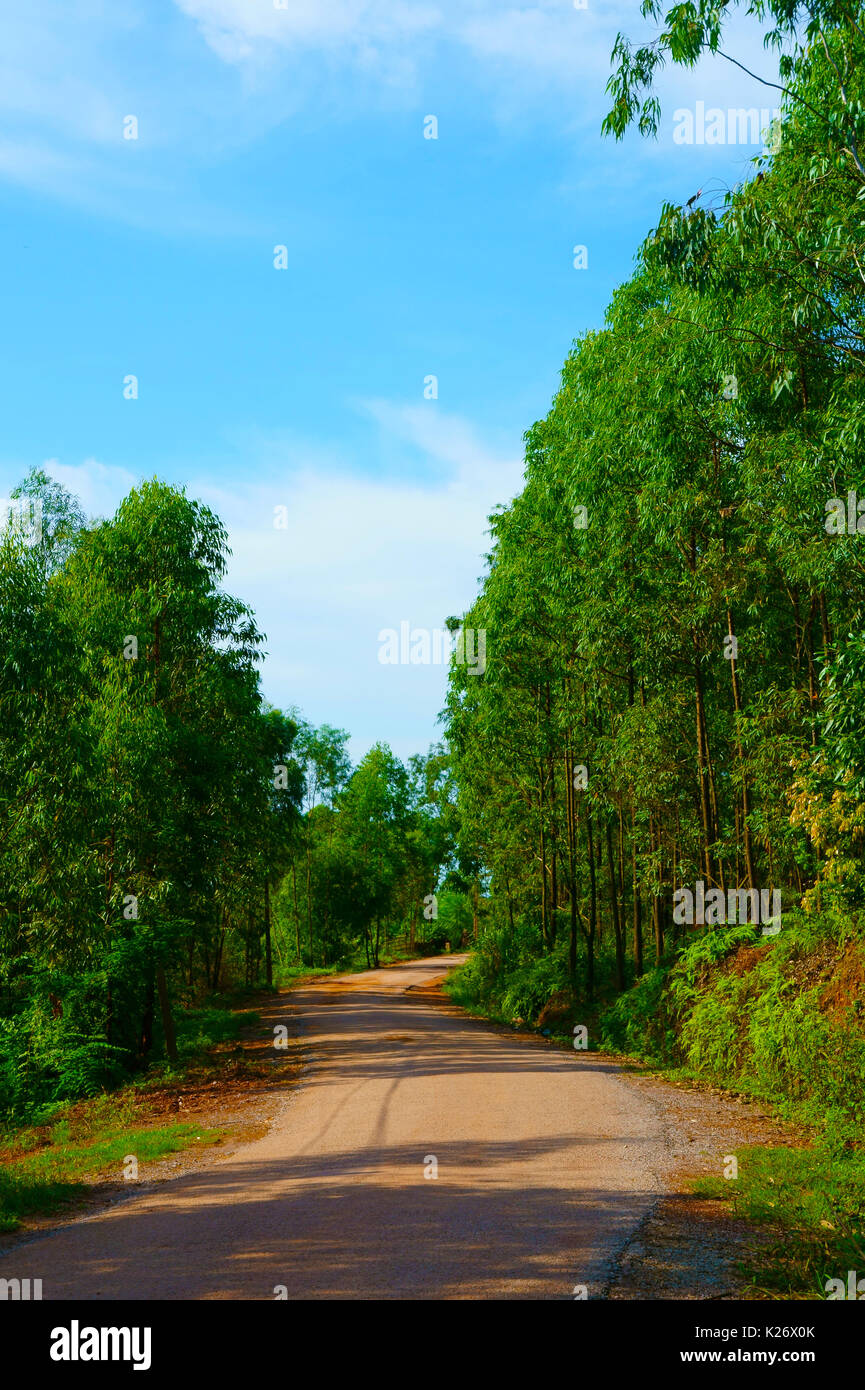 View of road through hills hi-res stock photography and images - Alamy