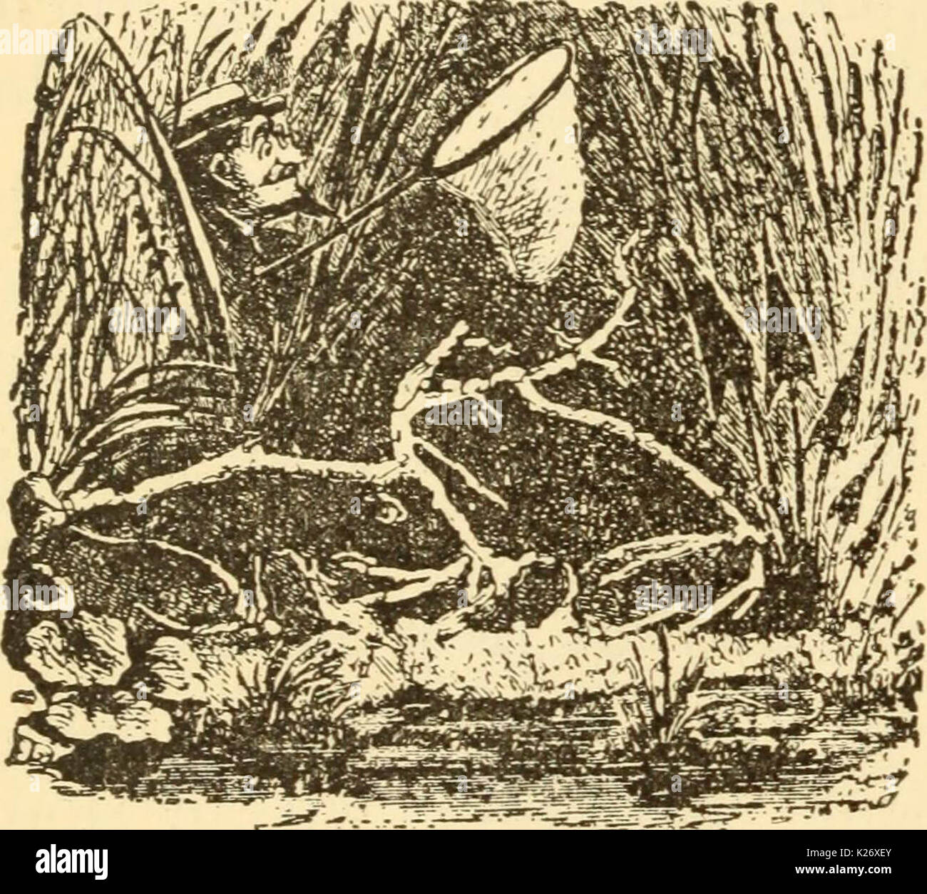 Human conduct hi-res stock photography and images - Alamy