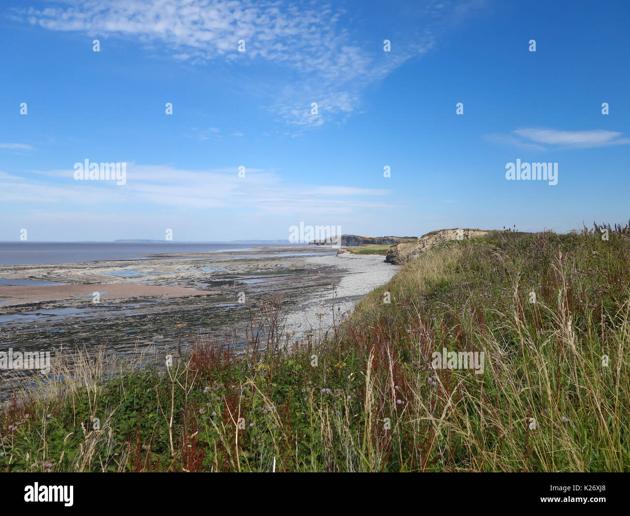Kilve fossils hi-res stock photography and images - Alamy