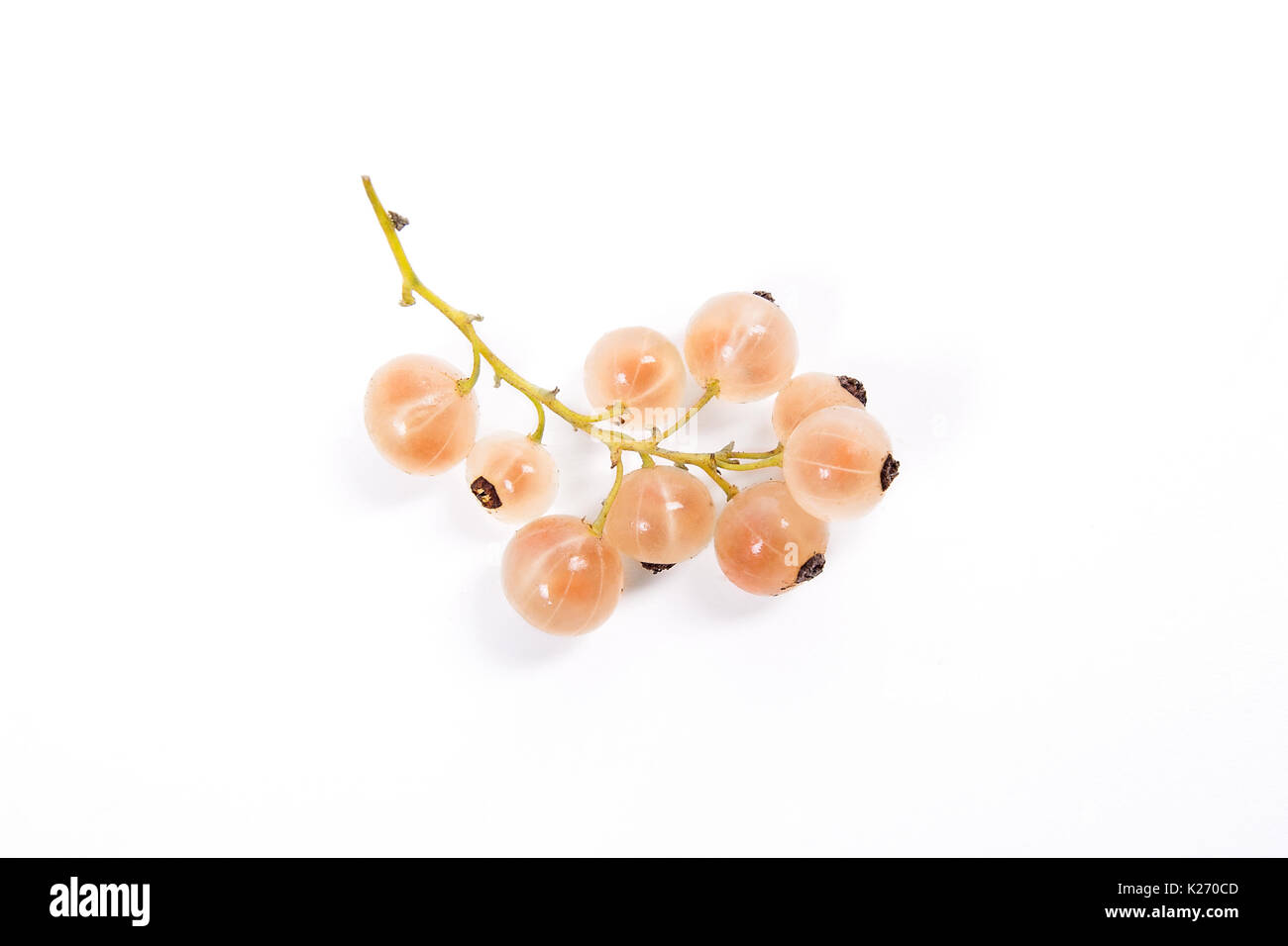 Close up view of white currant berry isolated on white background Stock ...