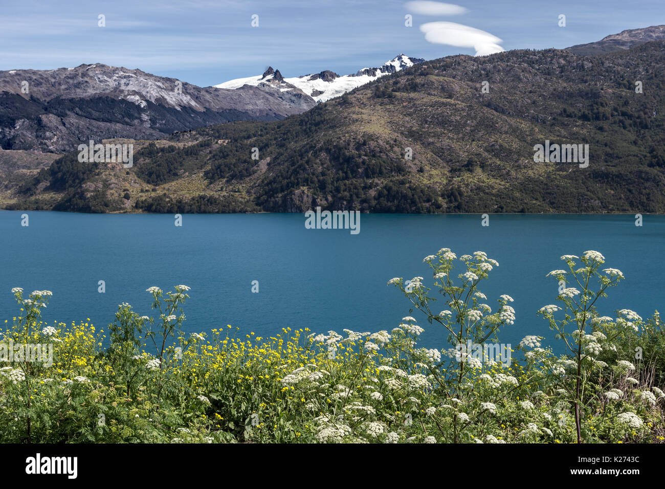 Lake (Lago) Tranquil Puerto Rio Tranquilo Patagonia Chile along X728 ...