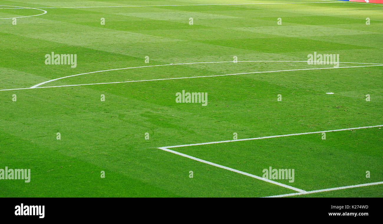Soccer stadium lines details Stock Photo - Alamy