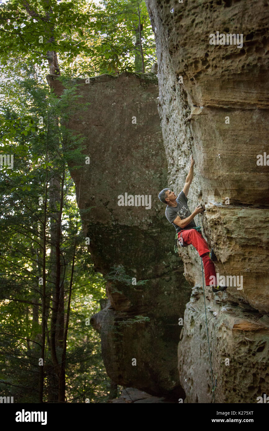 Rrg hi-res stock photography and images - Alamy