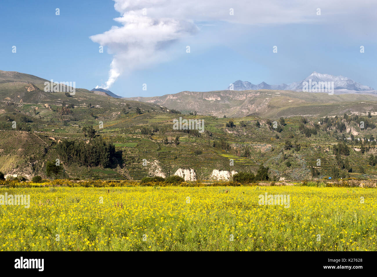 Sabancaya volcano Peru Stock Photo - Alamy