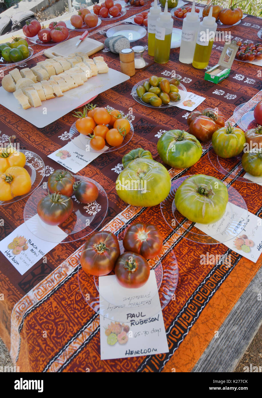 Heirloom tomato tasting contest, Seattle Stock Photo - Alamy