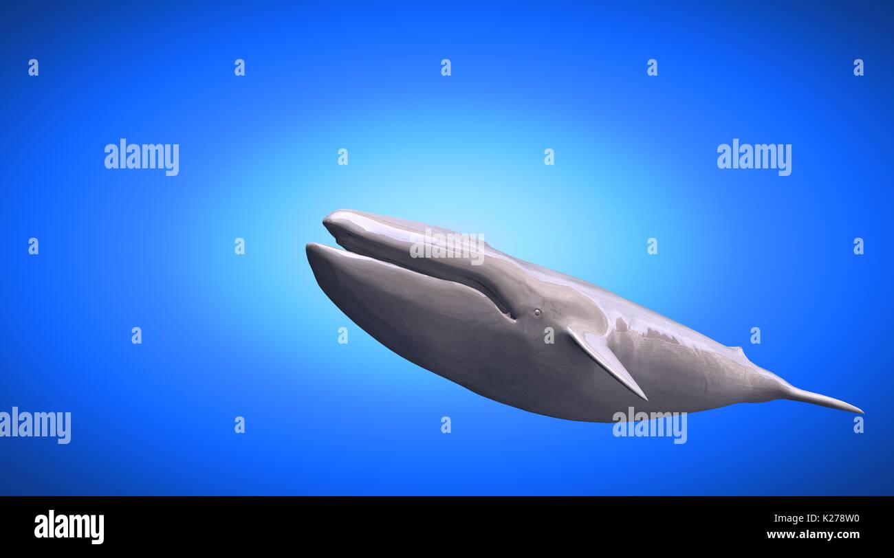 Wahle hi-res stock photography and images - Alamy