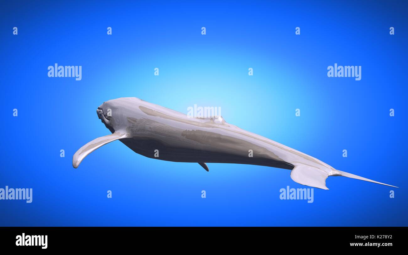 3d rendering of a reflective fish shape swimming with fins Stock Photo ...