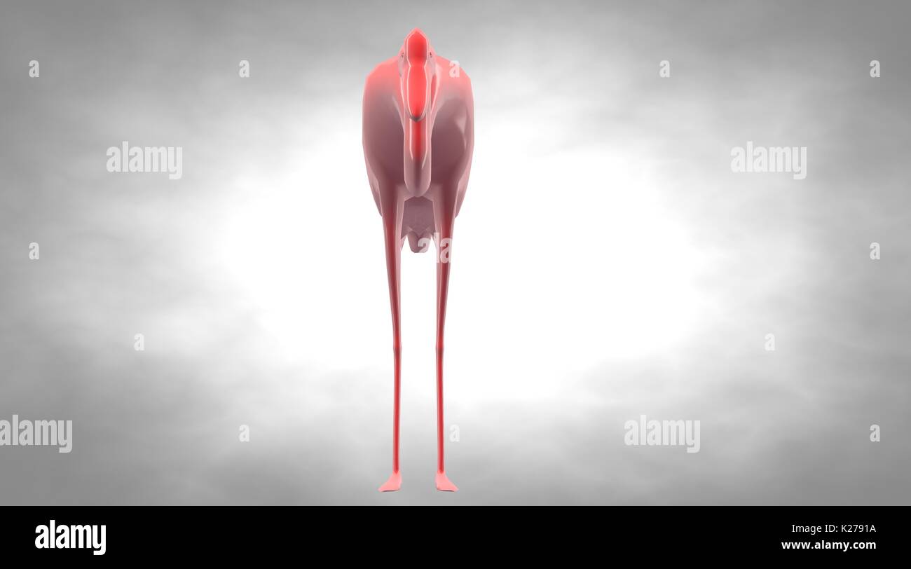3d rendering of a reflective bird with long legs Stock Photo - Alamy