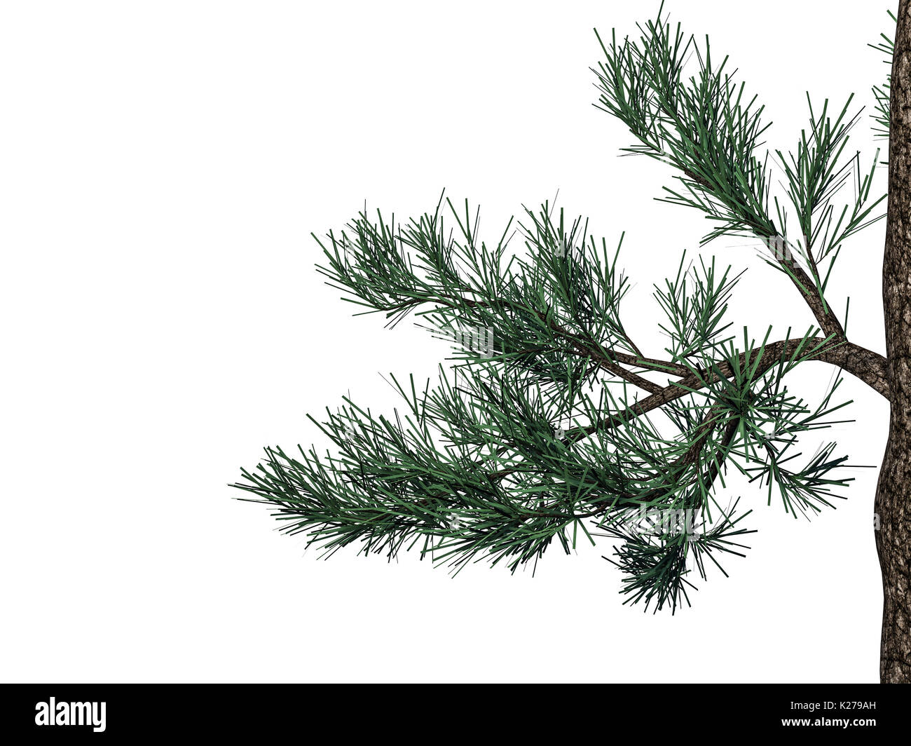 3d rendering of a foreground tree branch isolated on white background ...