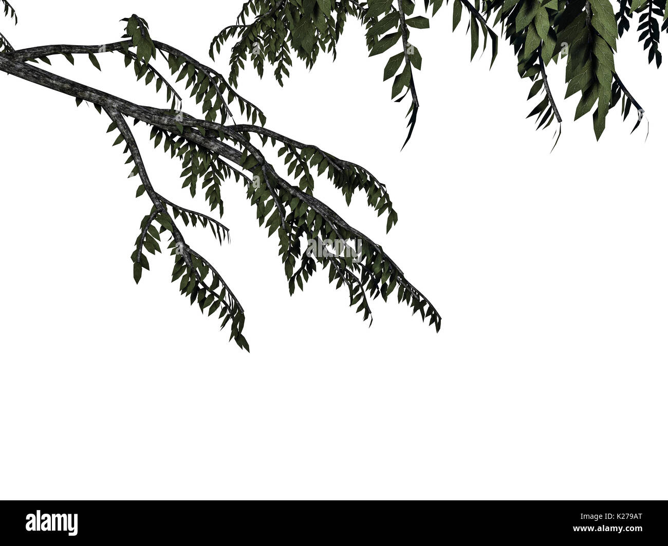 3d rendering of a foreground tree branch isolated on white background ...