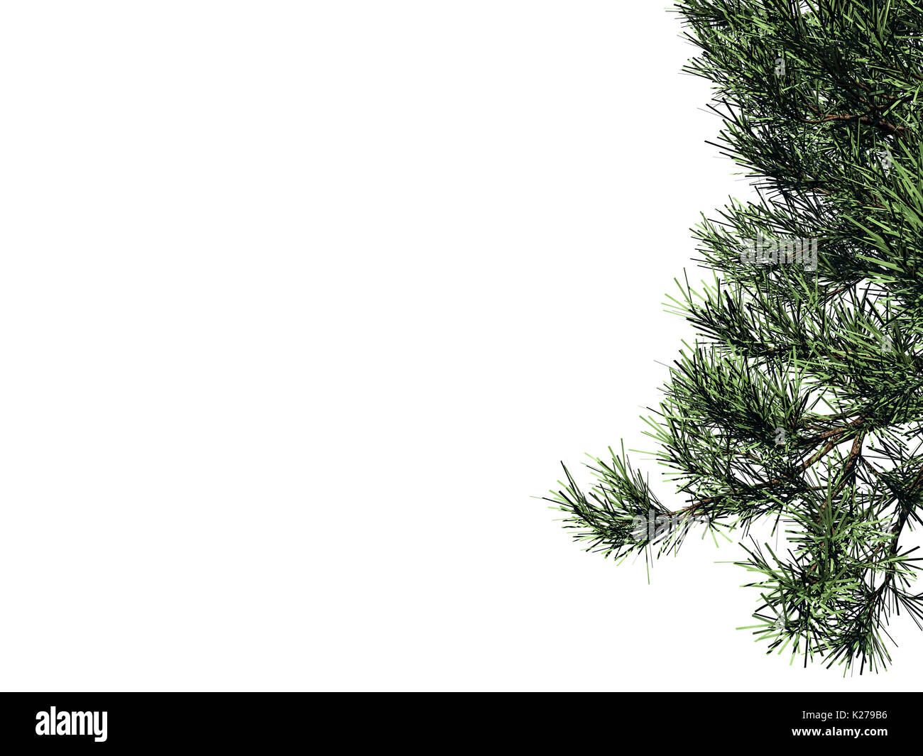 3d rendering of a foreground tree branch isolated on white background ...