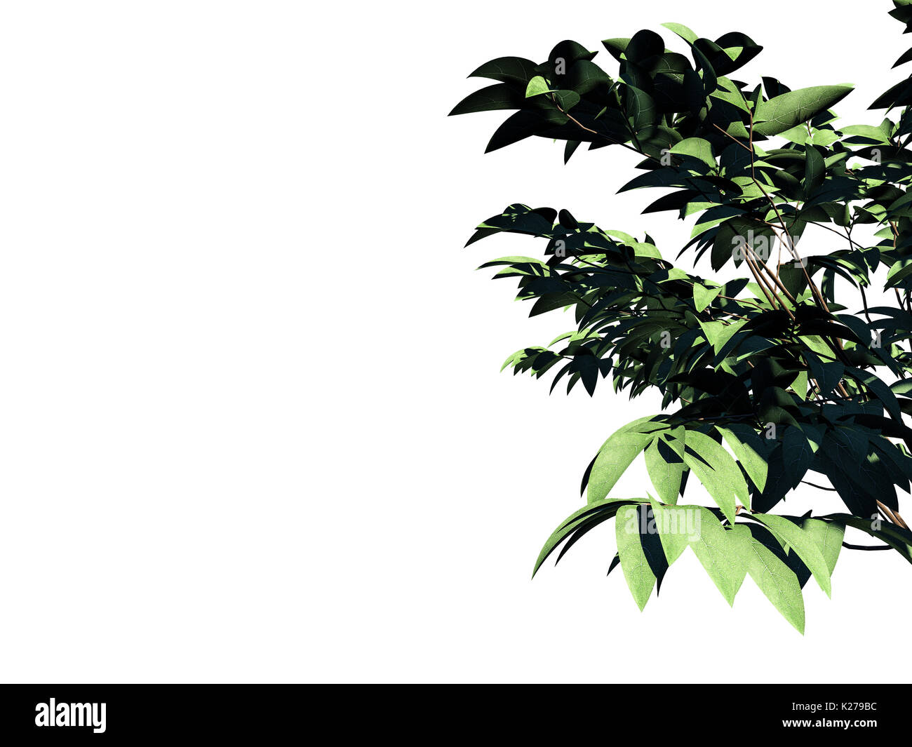 3d rendering of a foreground tree branch isolated on white background ...