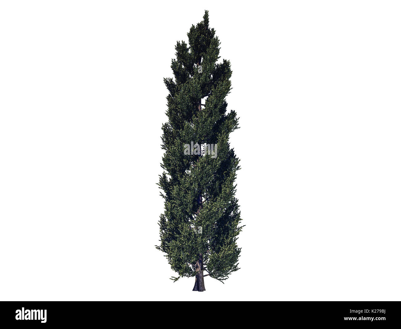 3d rendering of a foreground tree branch isolated on white background ...