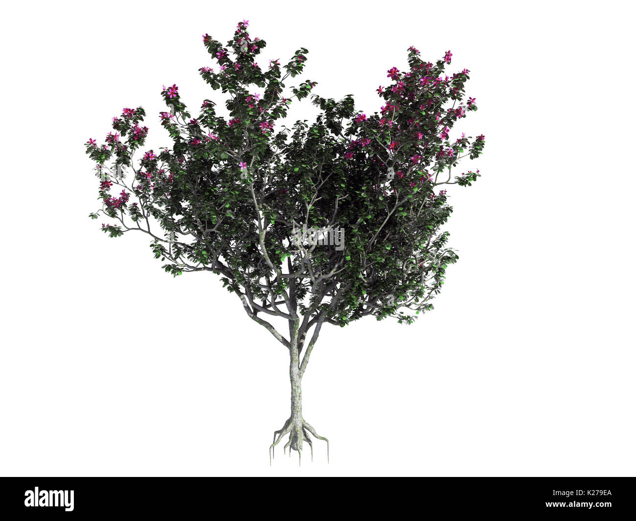 3d rendering of a realistic flower bush isolated on white Stock Photo ...