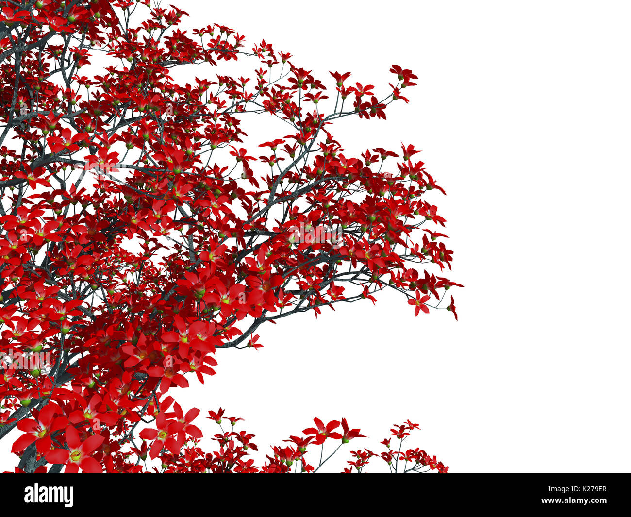 3d rendering of a foreground tree branch isolated on white Stock Photo ...