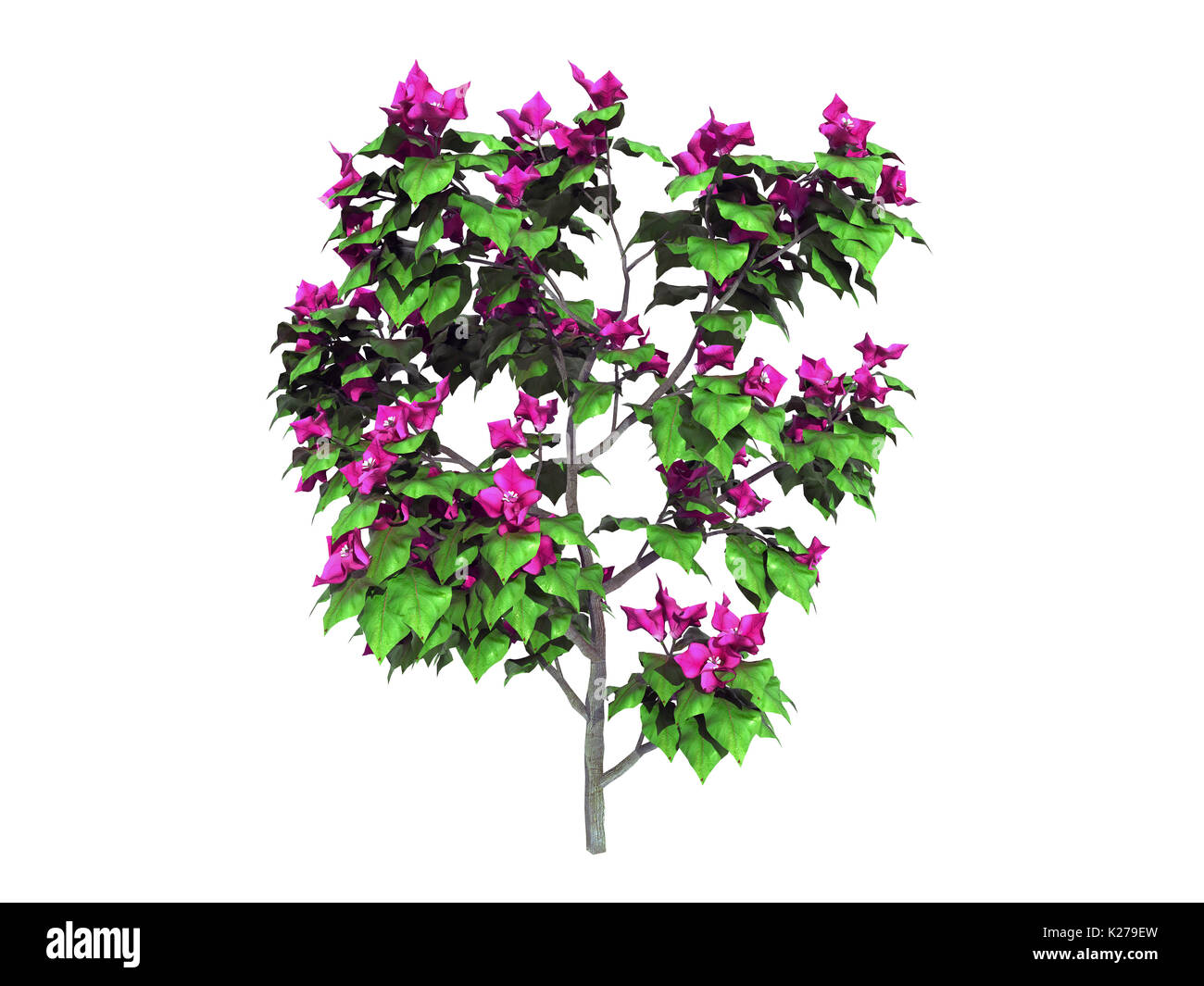 3d rendering of a realistic flower bush isolated on white Stock Photo ...