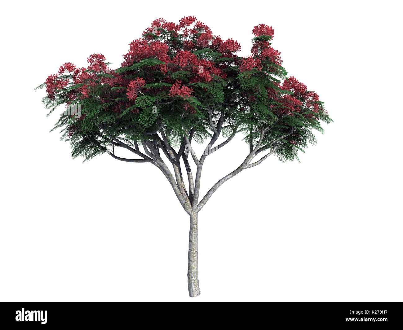 3d rendering of a realistic flower bush isolated on white Stock Photo ...