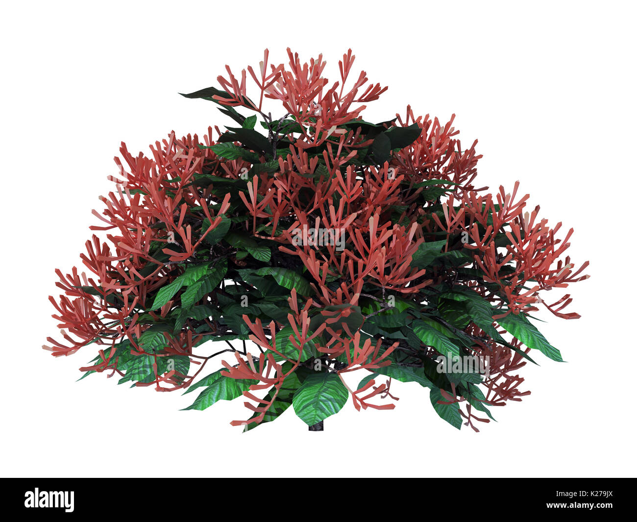3d rendering of a realistic flower bush isolated on white Stock Photo ...