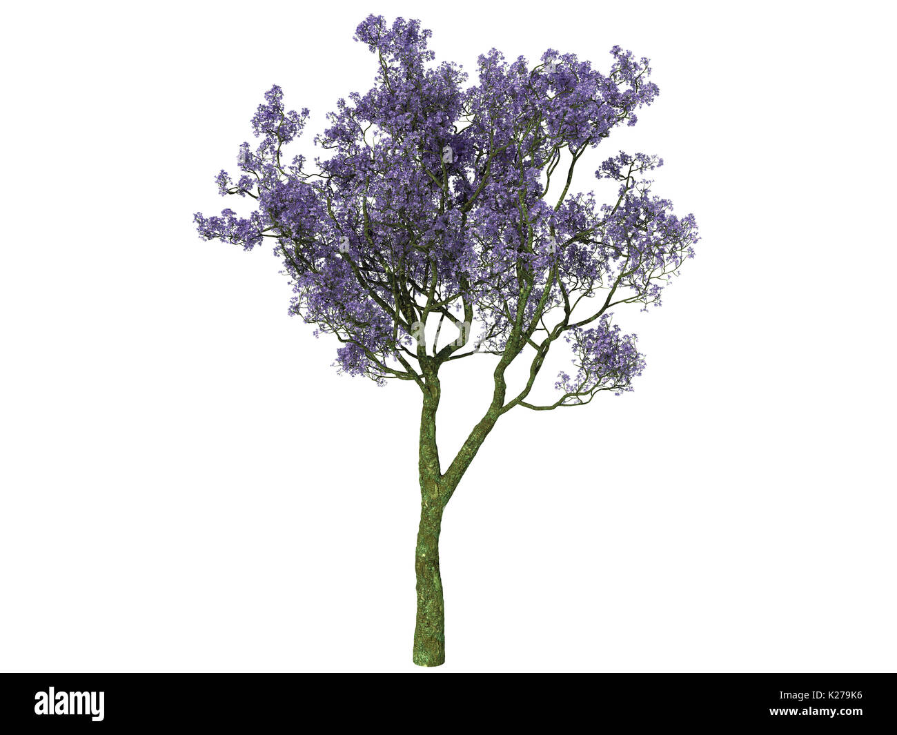 3d rendering of a realistic flower bush isolated on white Stock Photo ...