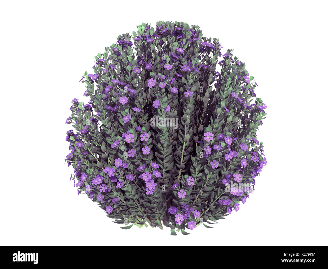3d rendering of a realistic flower bush isolated on white Stock Photo ...