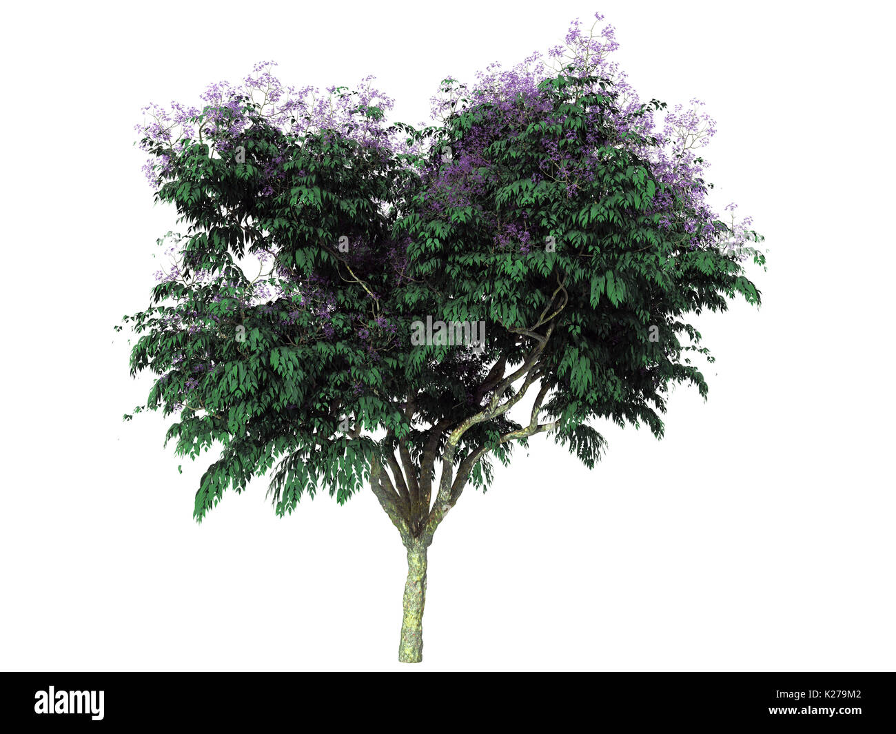 3d rendering of a realistic flower bush isolated on white Stock Photo ...