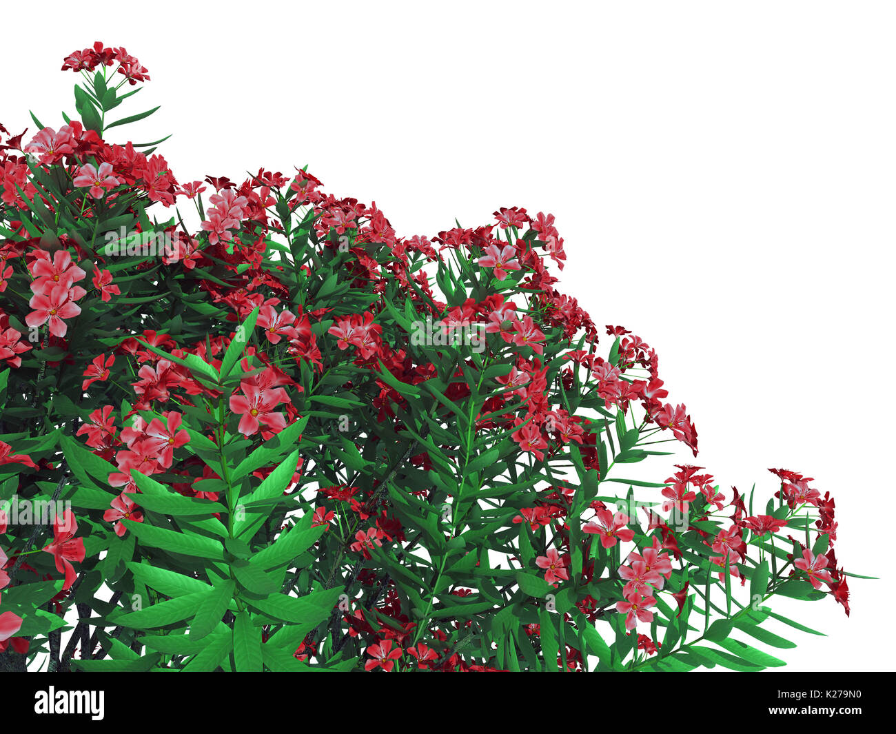 3d rendering of a foreground flower bush isolated on white Stock Photo ...