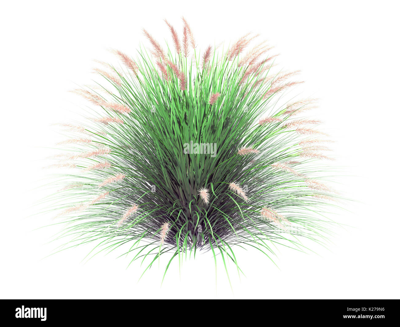 3d rendering of a realistic flower bush isolated on white Stock Photo ...